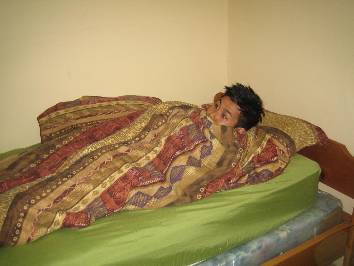 Overview on fever